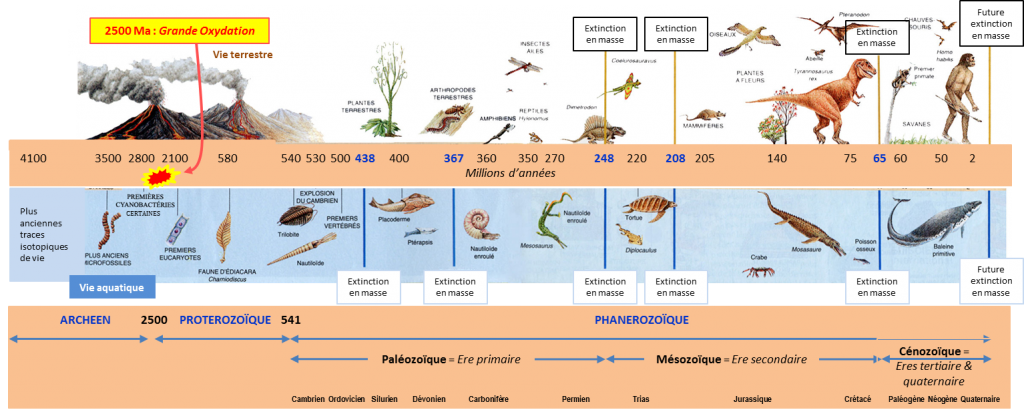 La biosphère, un acteur géologique majeur - Encyclopédie de l'environnement
