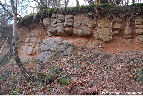 The biosphere, a major geological player - Encyclopedia of the Environment