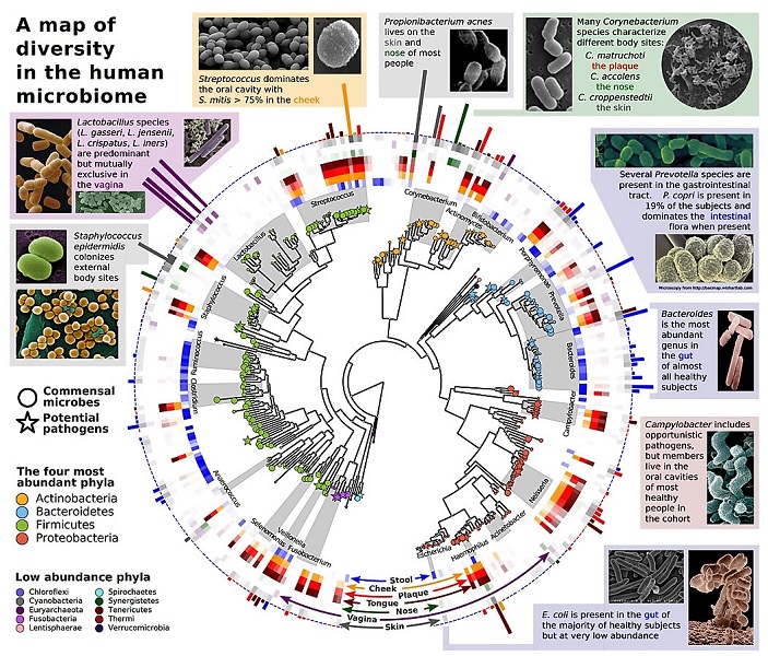 Symbiose et parasitisme - Encyclopédie de l'environnement