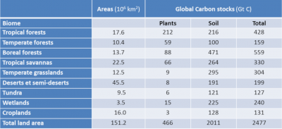 A carbon cycle disrupted by human activities - Encyclopedia of the ...