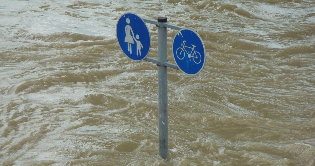 Natural disasters: when the environment becomes a threat - Encyclopedia ...