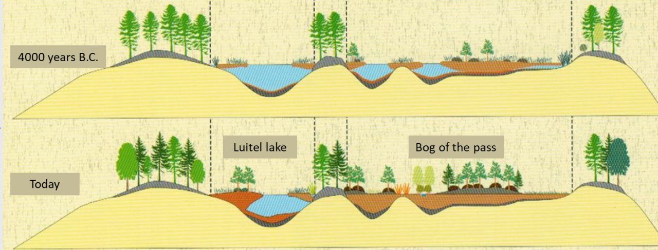 Peatlands and marshes, remarkable wetlands - Encyclopedia of the ...