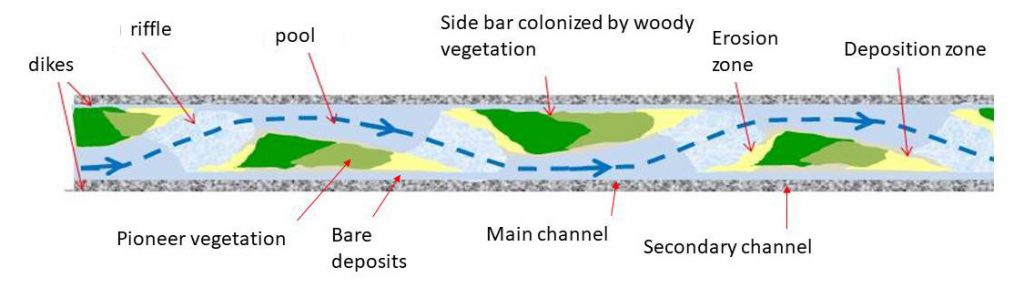 Alpine alluvial landscapes and biodiversity - Encyclopedia of the ...