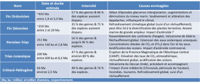 Les extinctions massives dans les temps géologiques - Encyclopédie de l ...