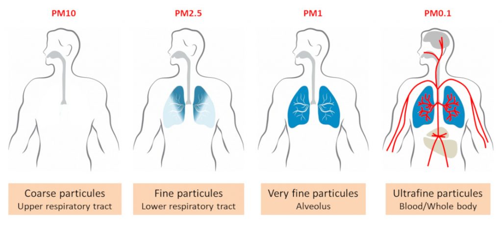 Airborne particulate matter and their health effects - Encyclopedia of ...