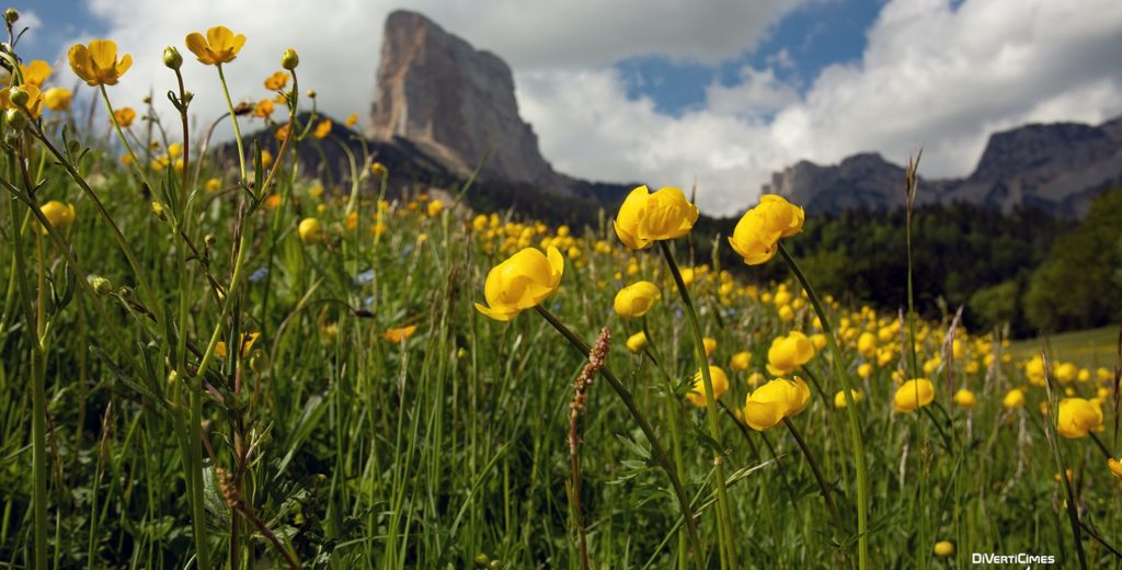 Presentation - Encyclopedia of the Environment