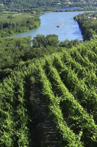 Multi-purpose river development: example of the Rhone River ...