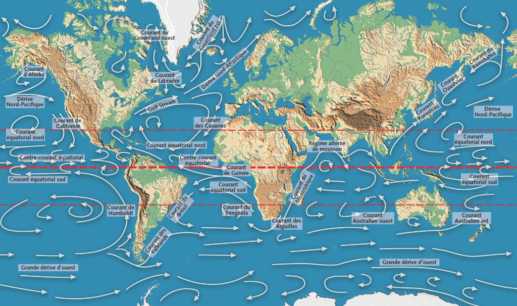 La lente et puissante circulation océanique - Encyclopédie de l ...