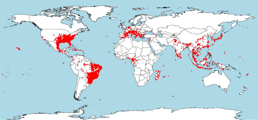 Why is the tiger mosquito so invasive? - Encyclopedia of the Environment