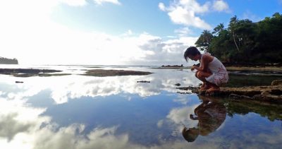 What is nature? - Encyclopedia of the Environment