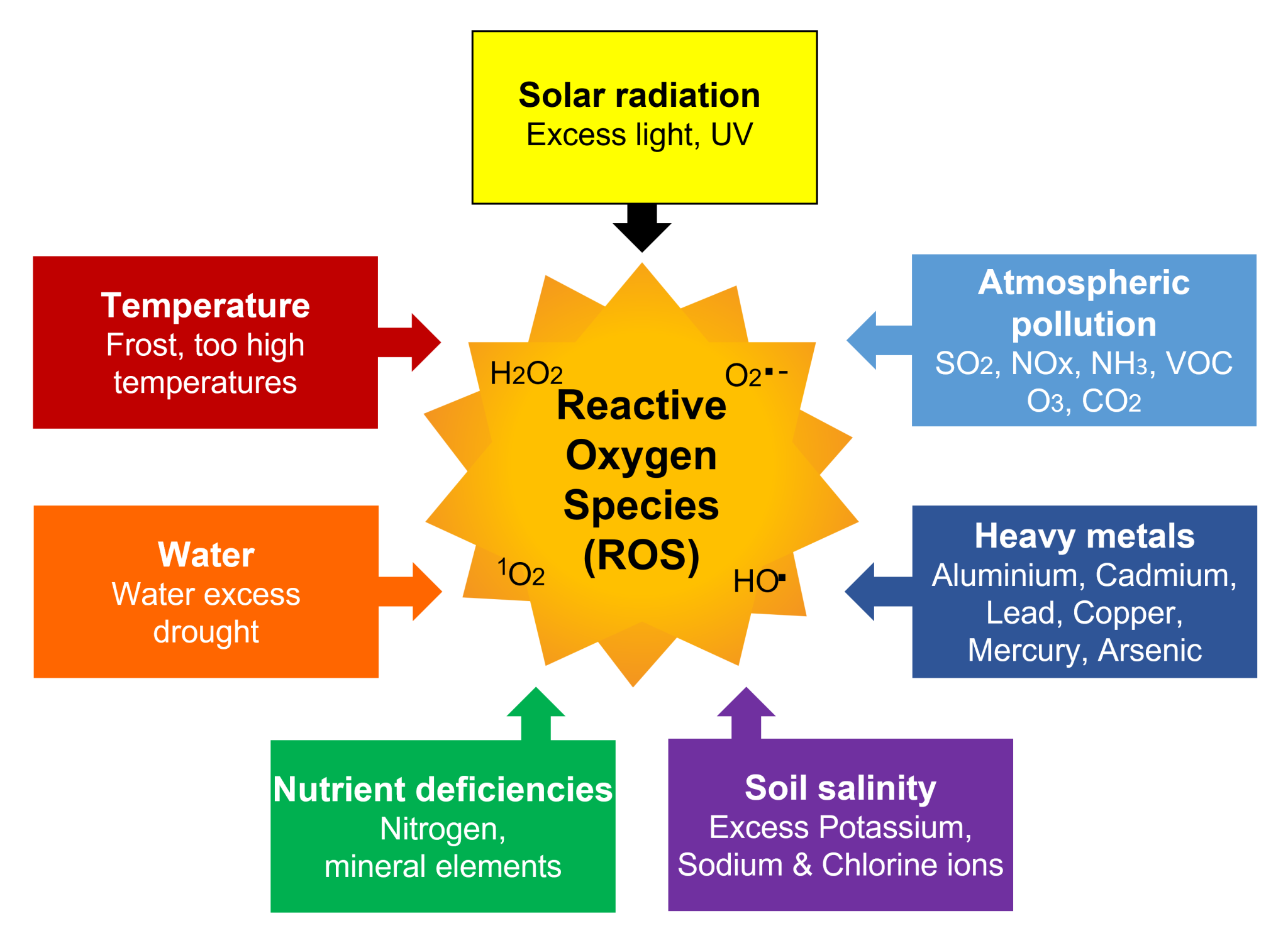 Environmental constraints and oxidative stress in plants - Encyclopedia of the Environment