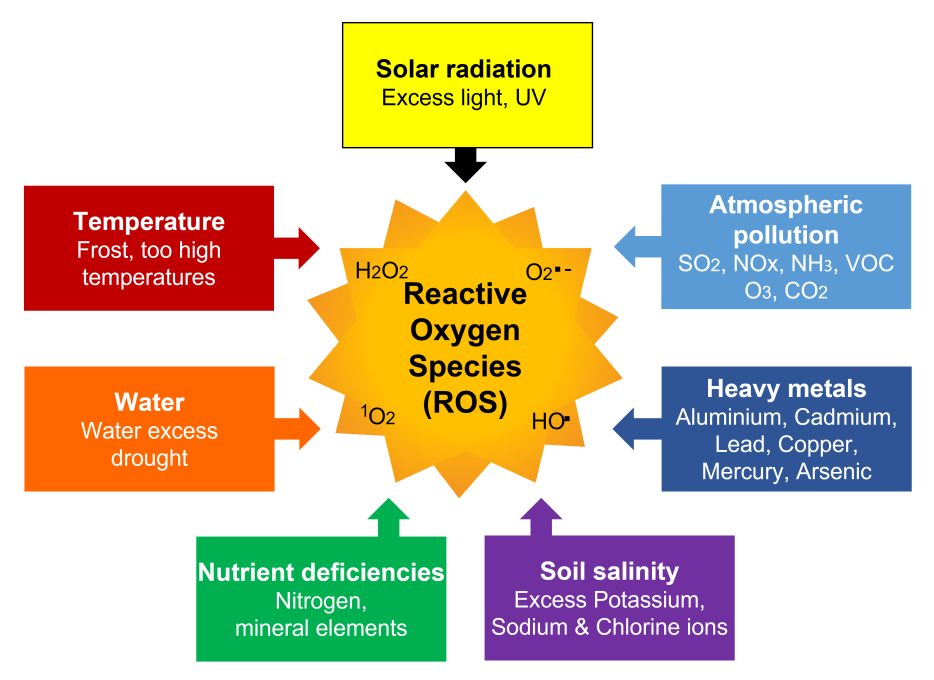 Environmental constraints and oxidative stress in plants - Encyclopedia of the Environment