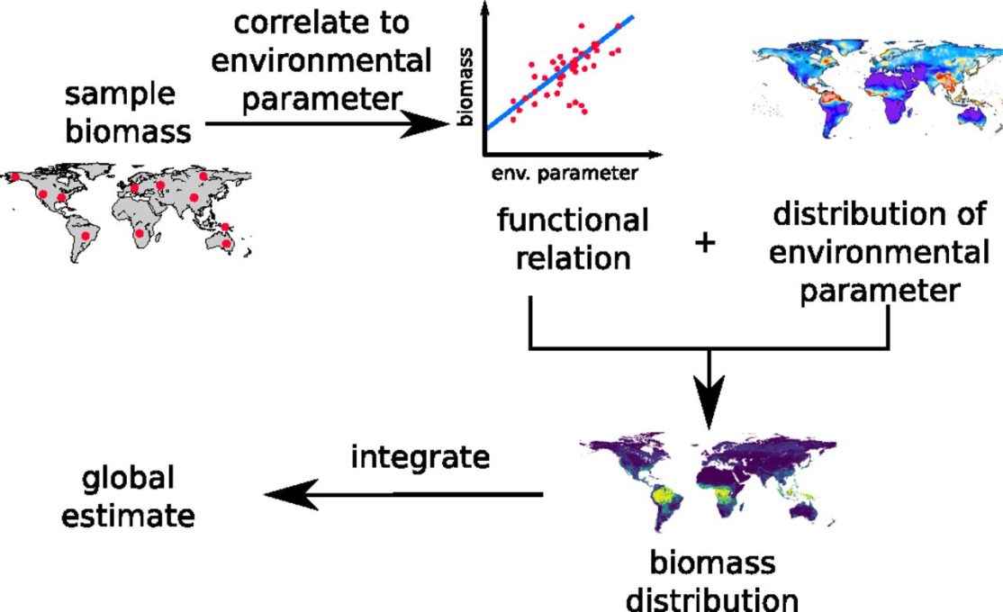 Estimating the global biomass - Encyclopedia of the Environment
