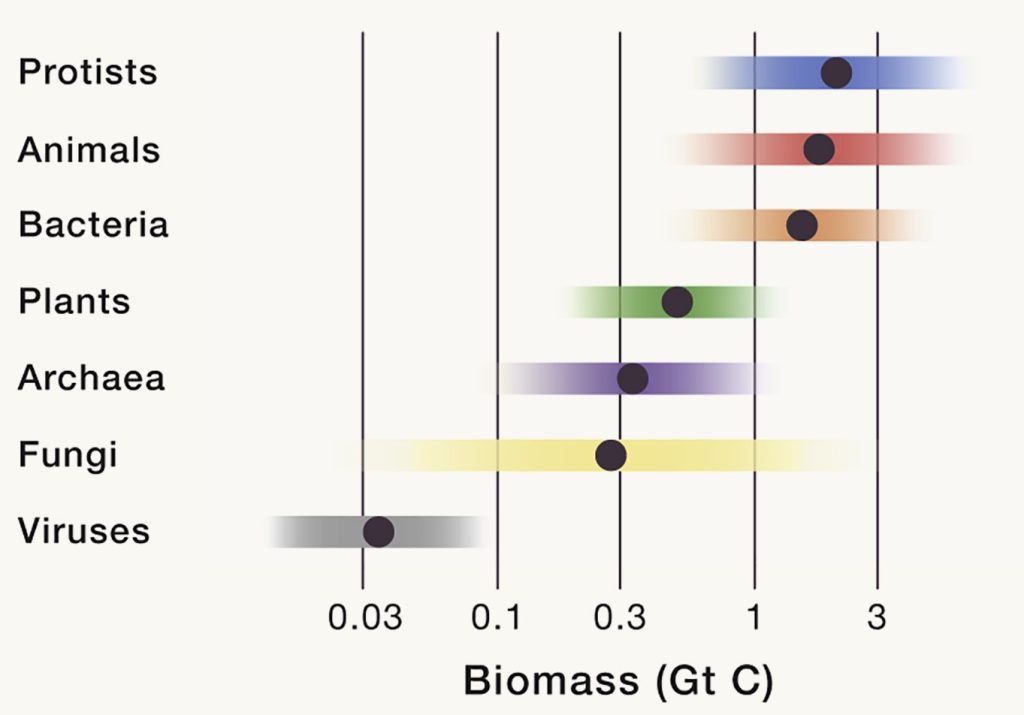 Estimating the global biomass - Encyclopedia of the Environment
