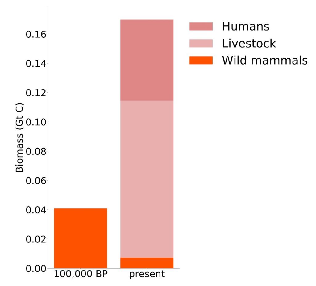 Distribution of biomass on the planet - Encyclopedia of the Environment