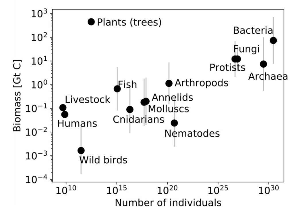 Distribution of biomass on the planet - Encyclopedia of the Environment