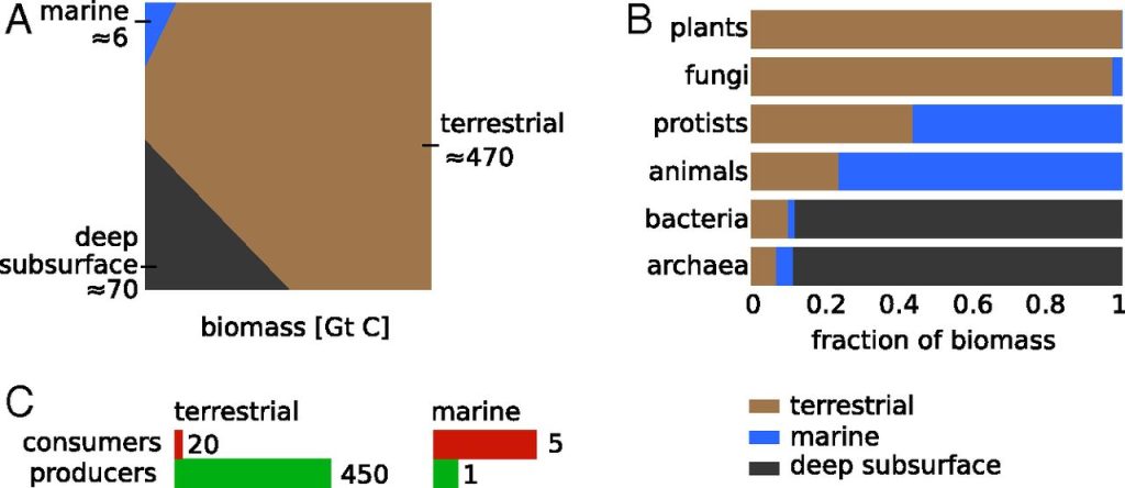 Distribution of biomass on the planet - Encyclopedia of the Environment