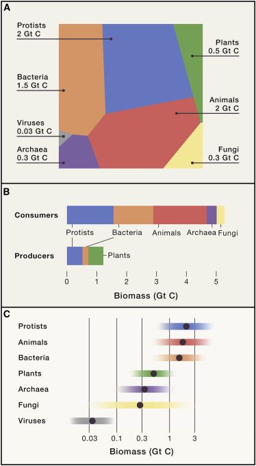 3.2: Biomass of organisms living in the oceans - Geosciences LibreTexts