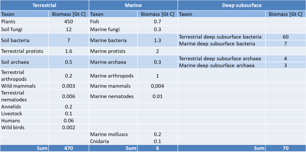 Distribution of biomass on the planet - Encyclopedia of the Environment