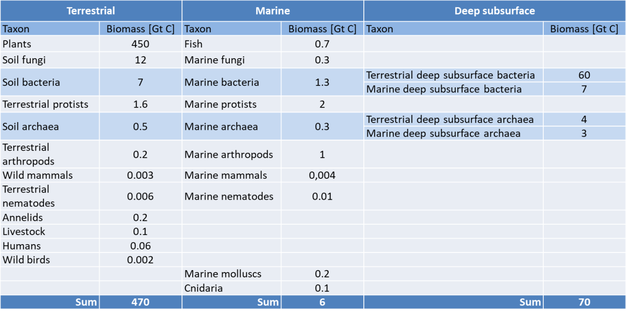 Distribution of biomass on the planet - Encyclopedia of the Environment