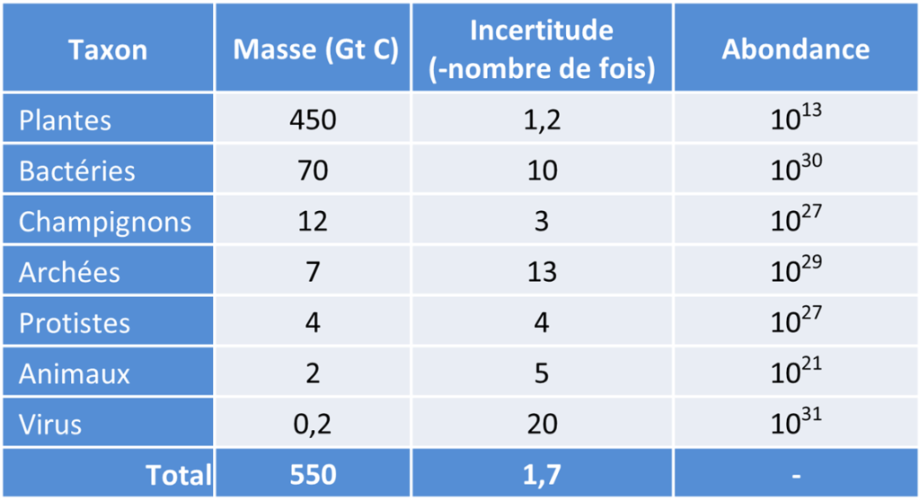Comment estimer la biomasse globale ? - Encyclopédie de l'environnement