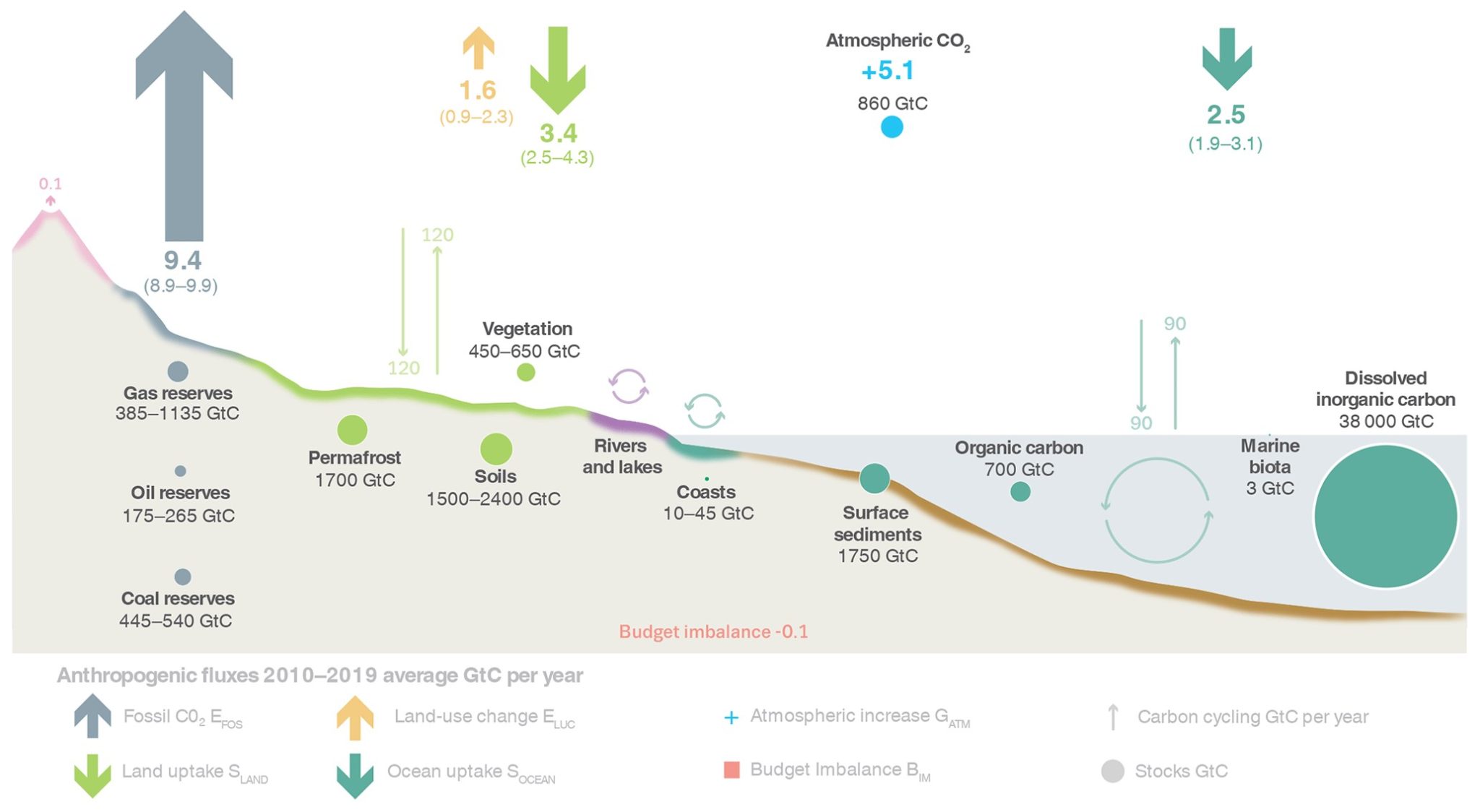Role of forests in the planet's carbon balance - Encyclopedia of the ...