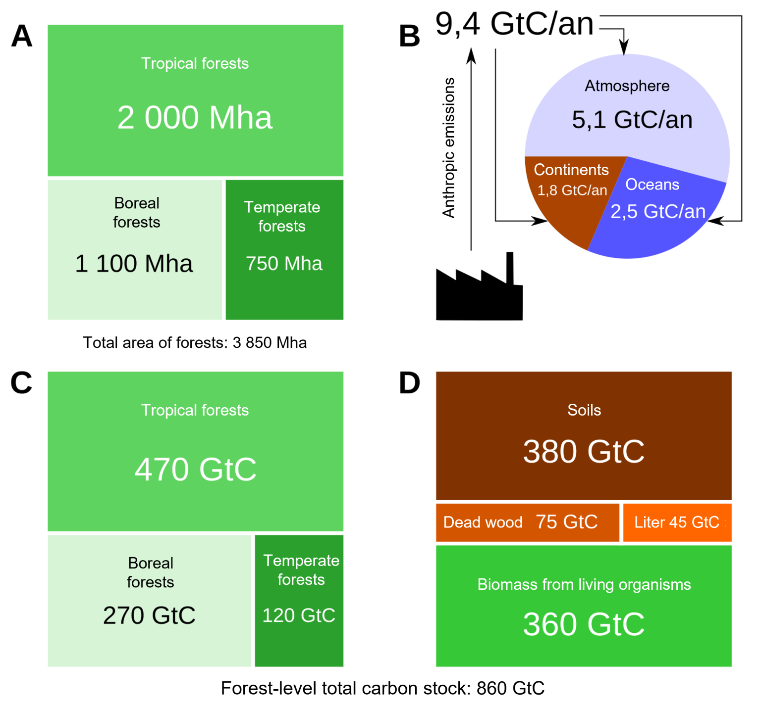 Role of forests in the planet's carbon balance - Encyclopedia of the ...
