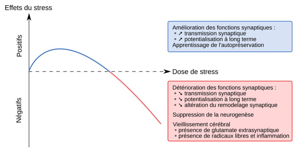 Non-pharmacological therapies for chronic stress - Encyclopedia of the ...