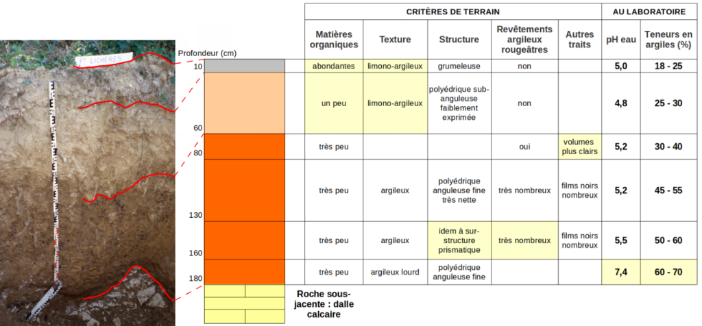 La formation des sols sous climats tempérés - Encyclopédie de l ...