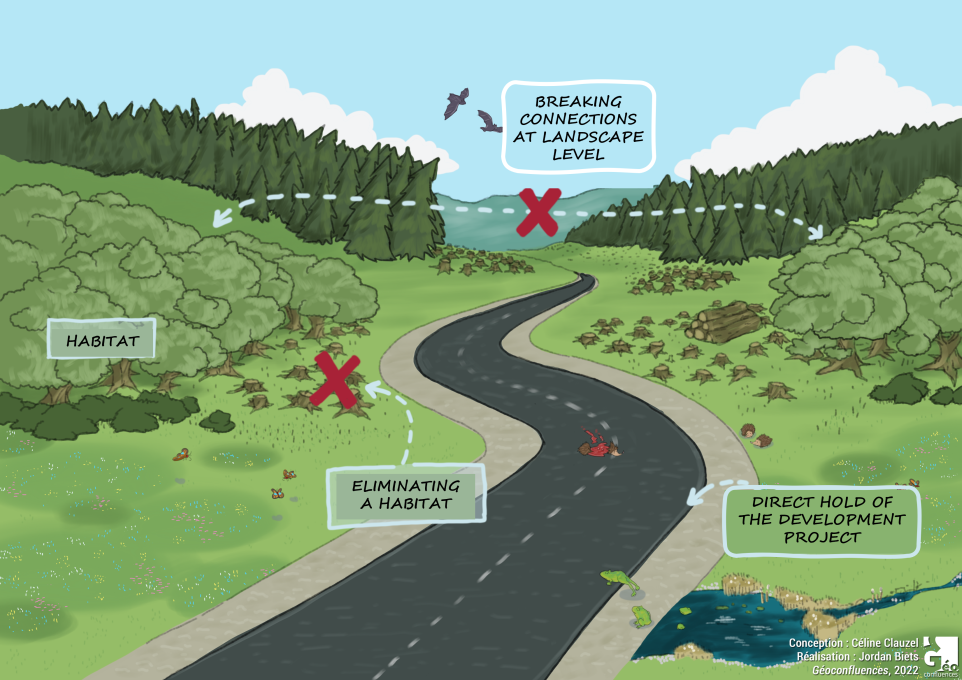 Les réseaux écologiques contre le déclin de la biodiversité