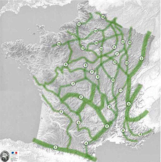Réseaux écologiques ou infrastructures vertes