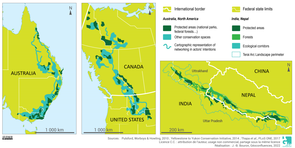 Les réseaux écologiques contre le déclin de la biodiversité