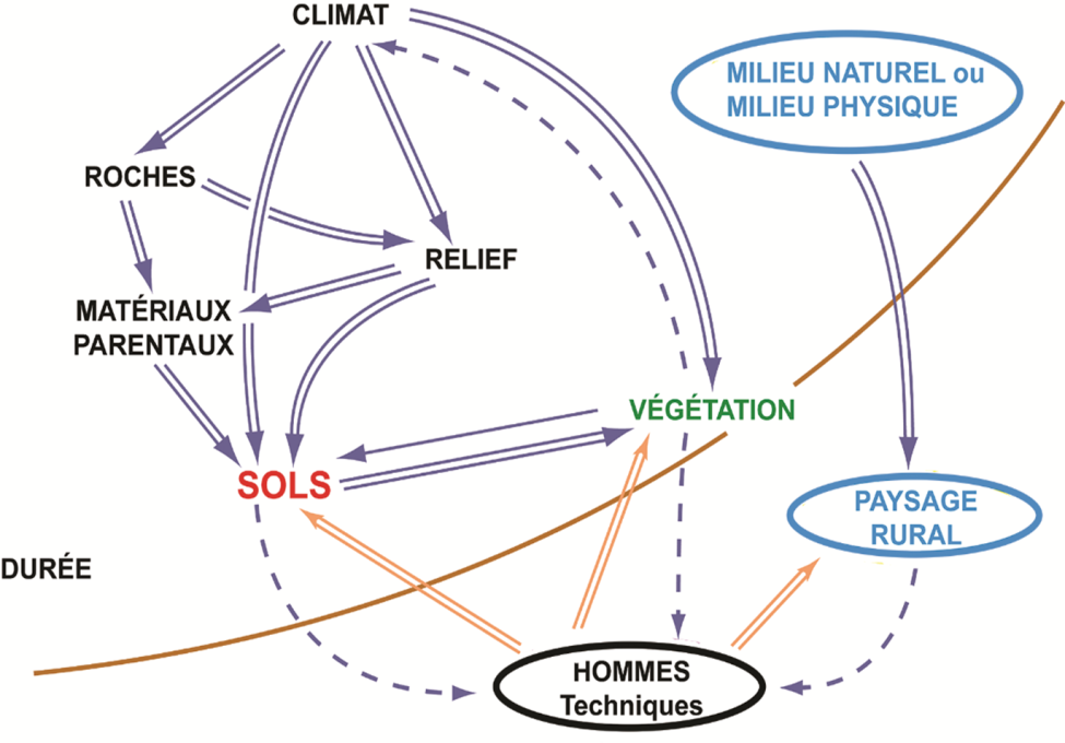 Six factors of pedogenesis - Encyclopedia of the Environment