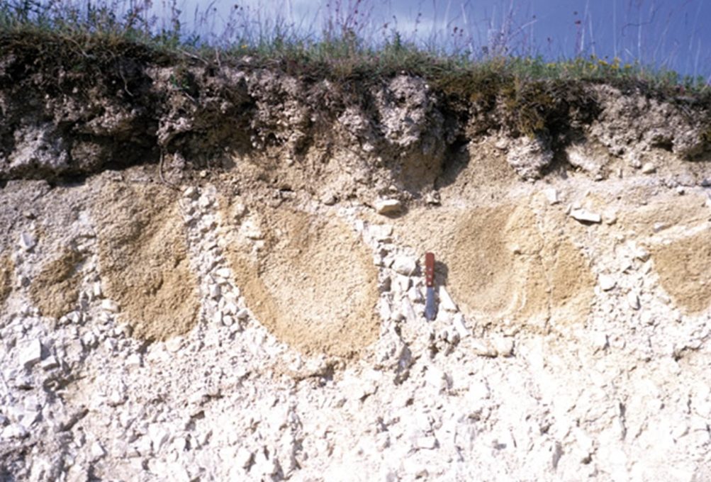 Six facteurs de la pédogenèse - Encyclopédie de l'environnement