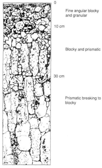 The importance of deep soil horizons - Encyclopedia of the Environment